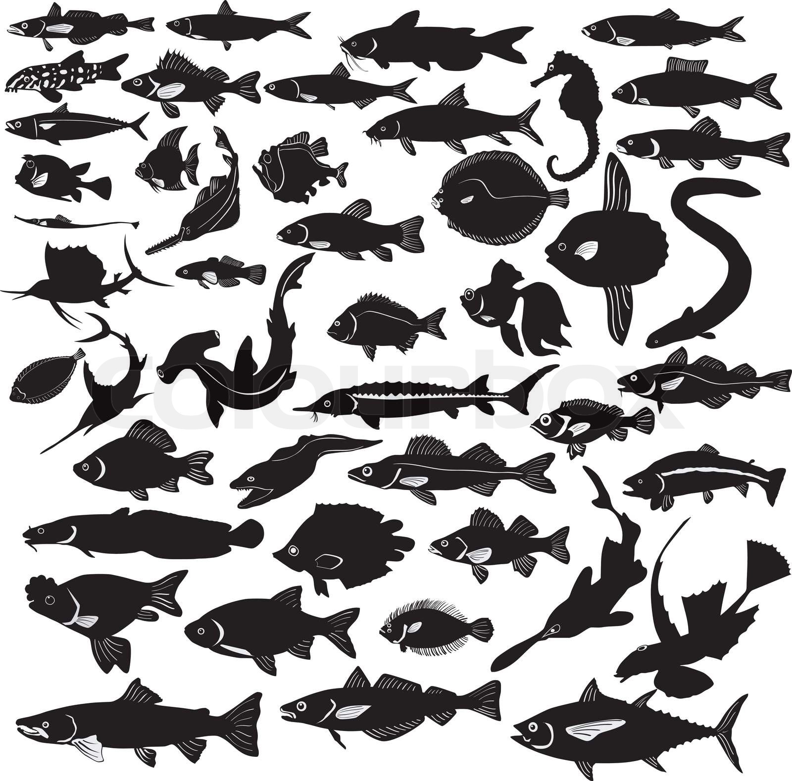 collection of fishes | Stock vector | Colourbox
