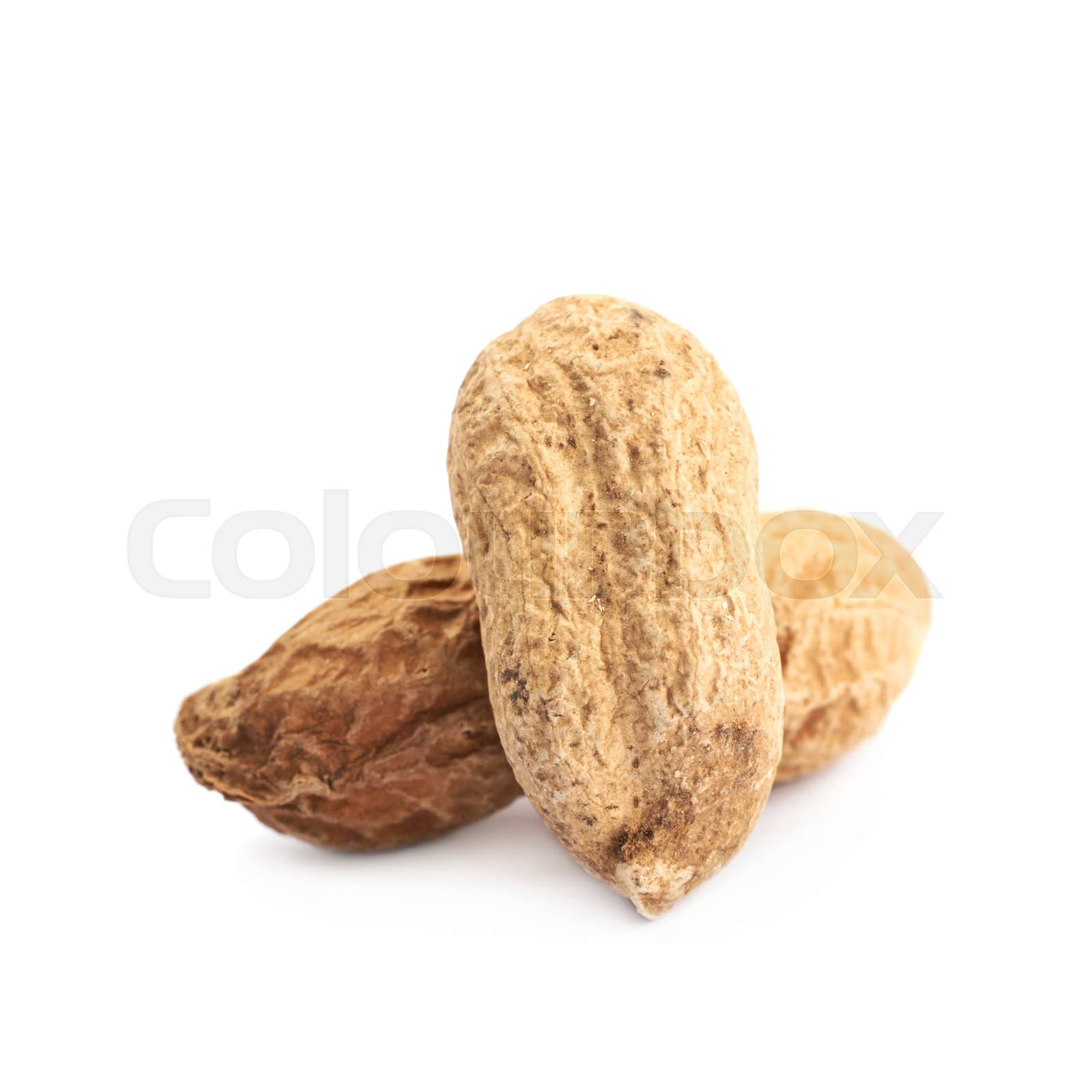 Couple of peanuts isolated | Stock image | Colourbox