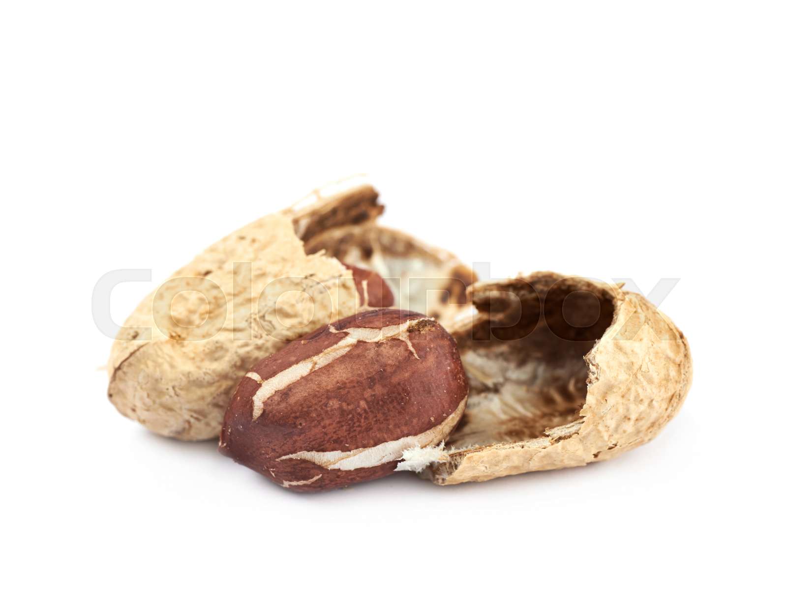 Cracked peanut isolated | Stock image | Colourbox