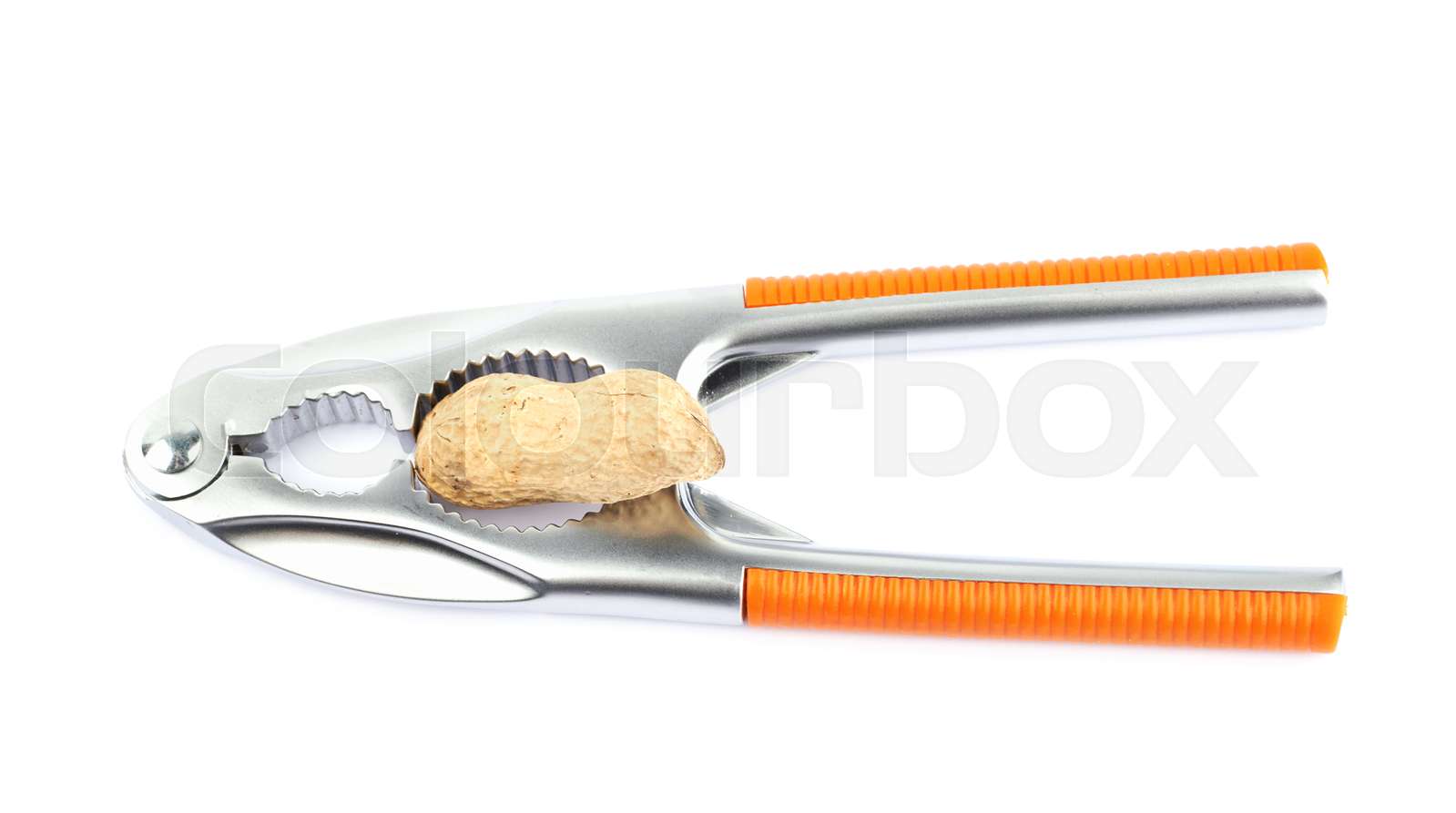 Lever nutcracker isolated | Stock image | Colourbox