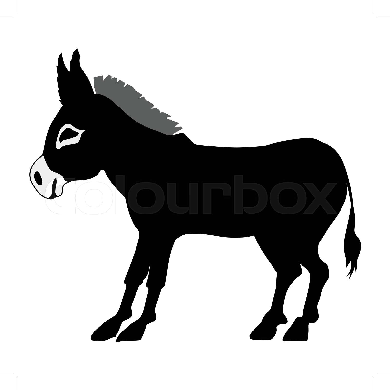 donkey | Stock vector | Colourbox