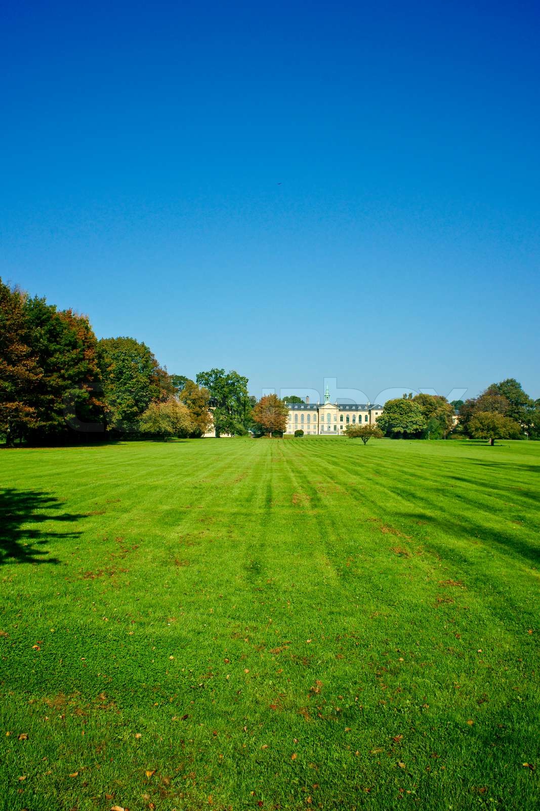 Mansion with a big lawn | Stock image | Colourbox