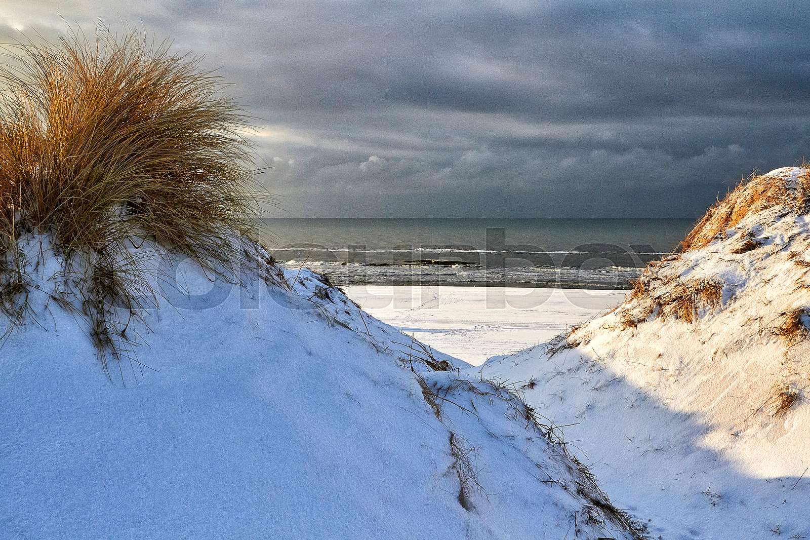 Blokhus Strand | Stock image | Colourbox