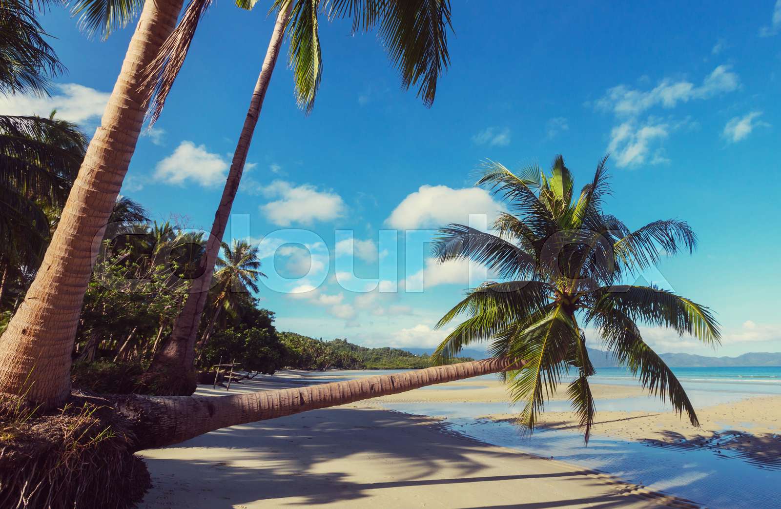 Tropical beach | Stock image | Colourbox