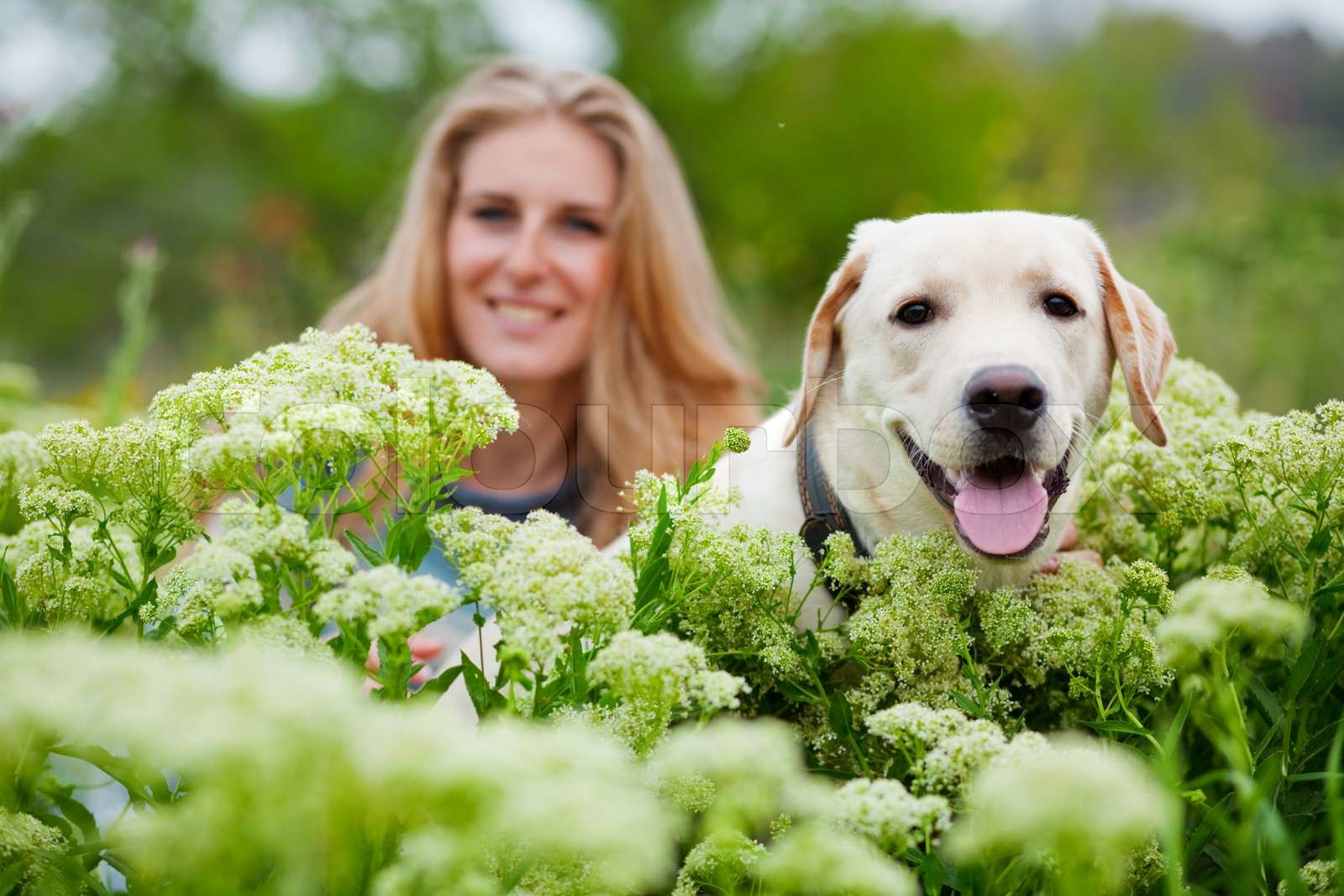 Girl with her dog posing in spring grass | Stock image | Colourbox