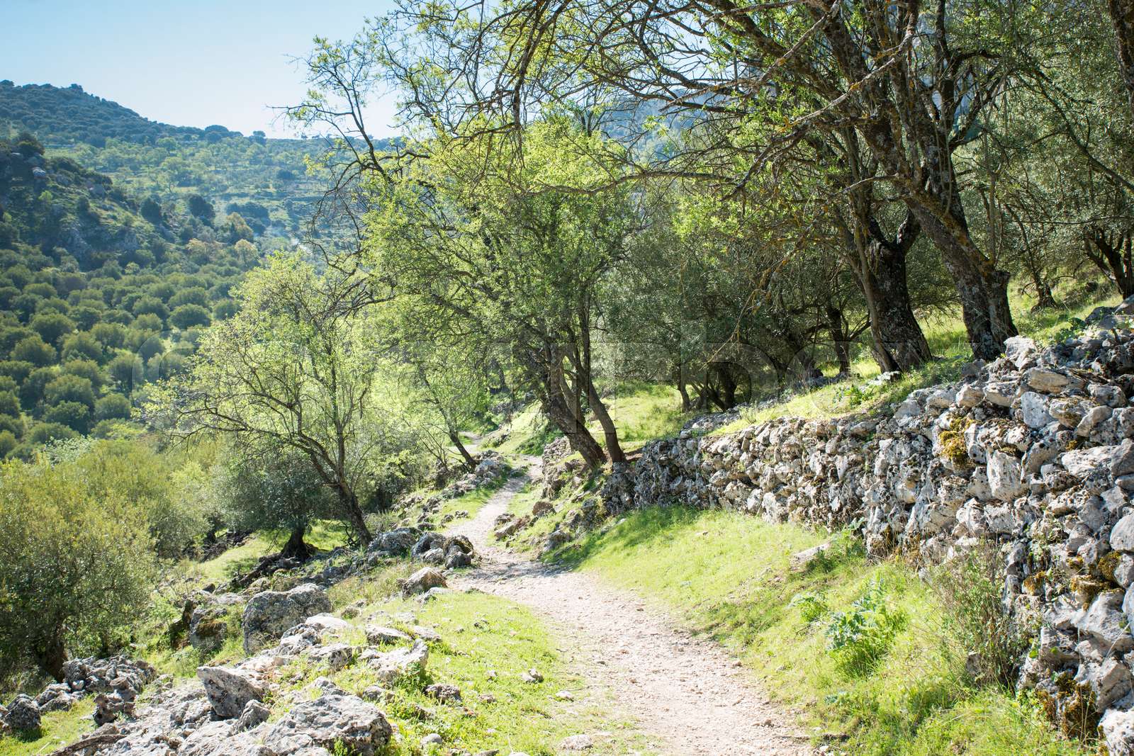 Sierras Subbéticas Natural Park in andalusia | Stock image | Colourbox