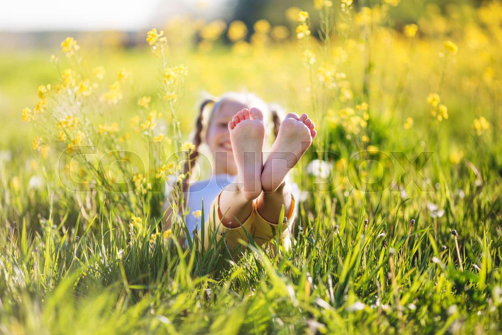Feet of little girl in yellow field with flowers | Stock image | Colourbox
