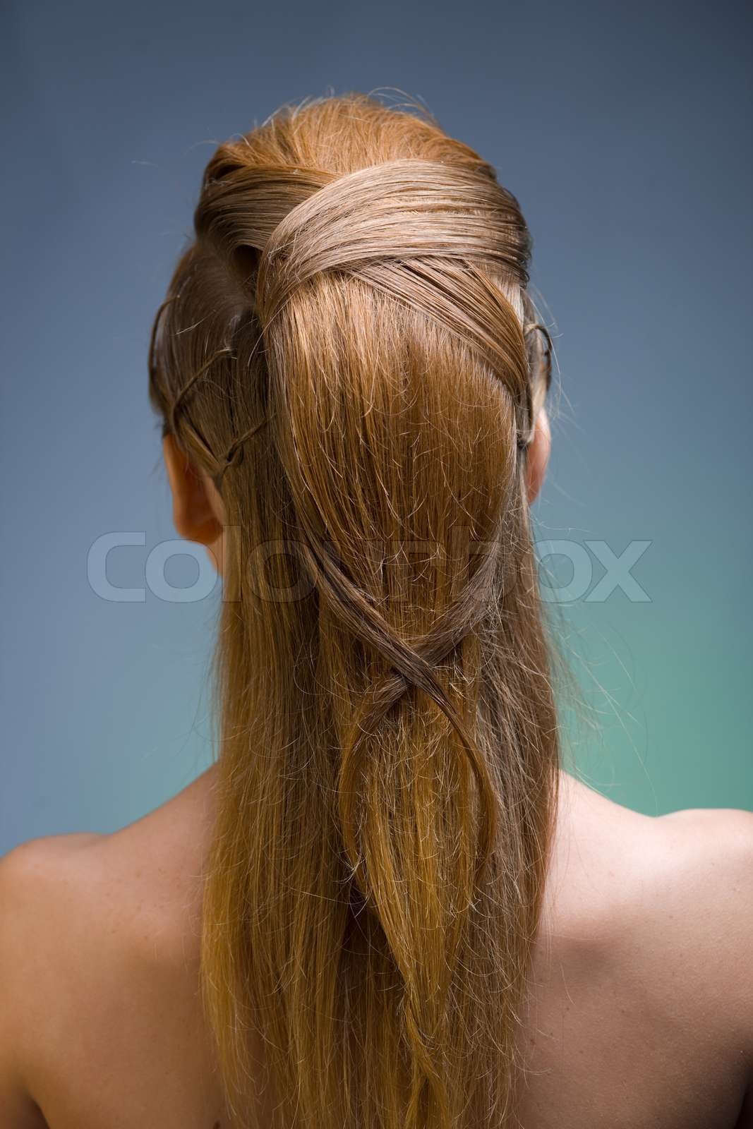 Female evening hairstyle back view | Stock image | Colourbox