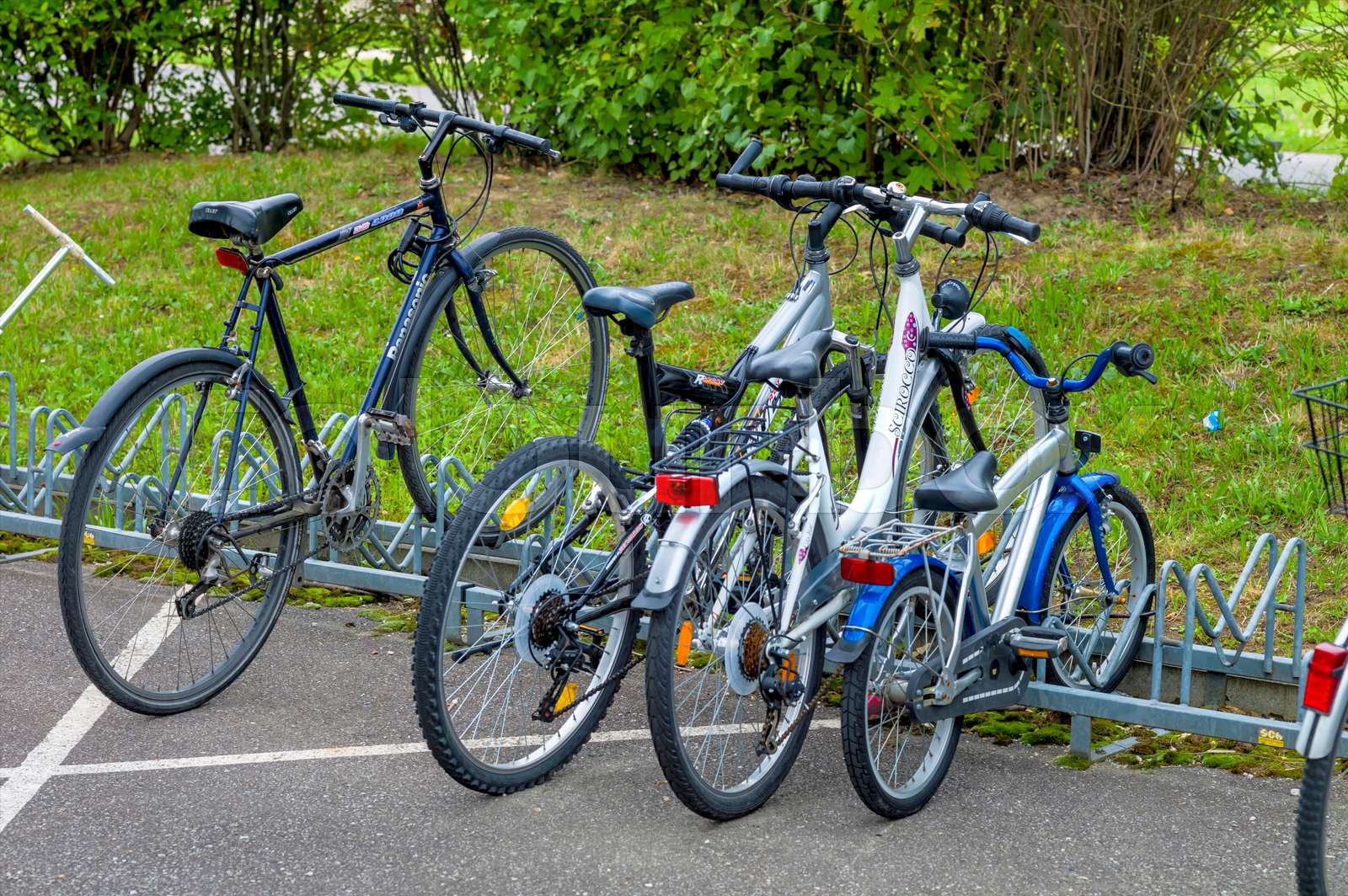 several bicycles side by side | Stock image | Colourbox