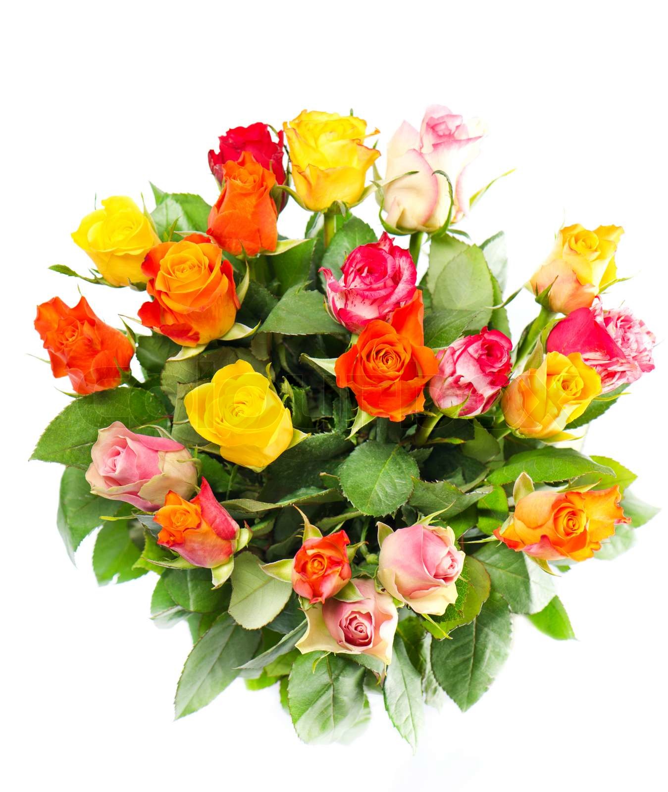 multicolor roses bouquet isolated on white | Stock image | Colourbox