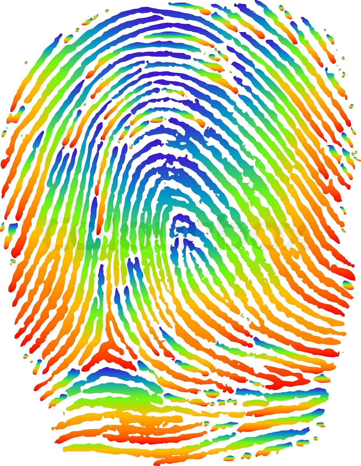 Fingerprint | Stock vector | Colourbox