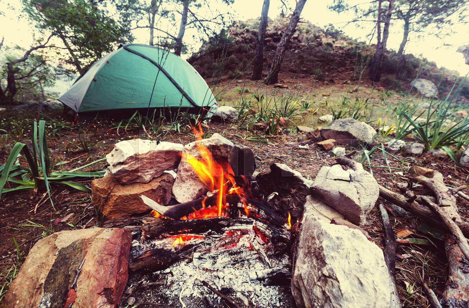 Campfire | Stock image | Colourbox