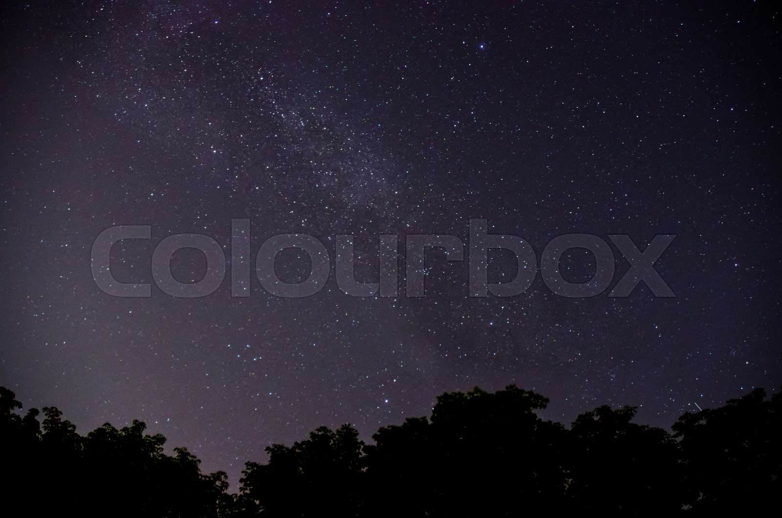 Blue dark night sky with many stars above field of trees. | Stock image | Colourbox