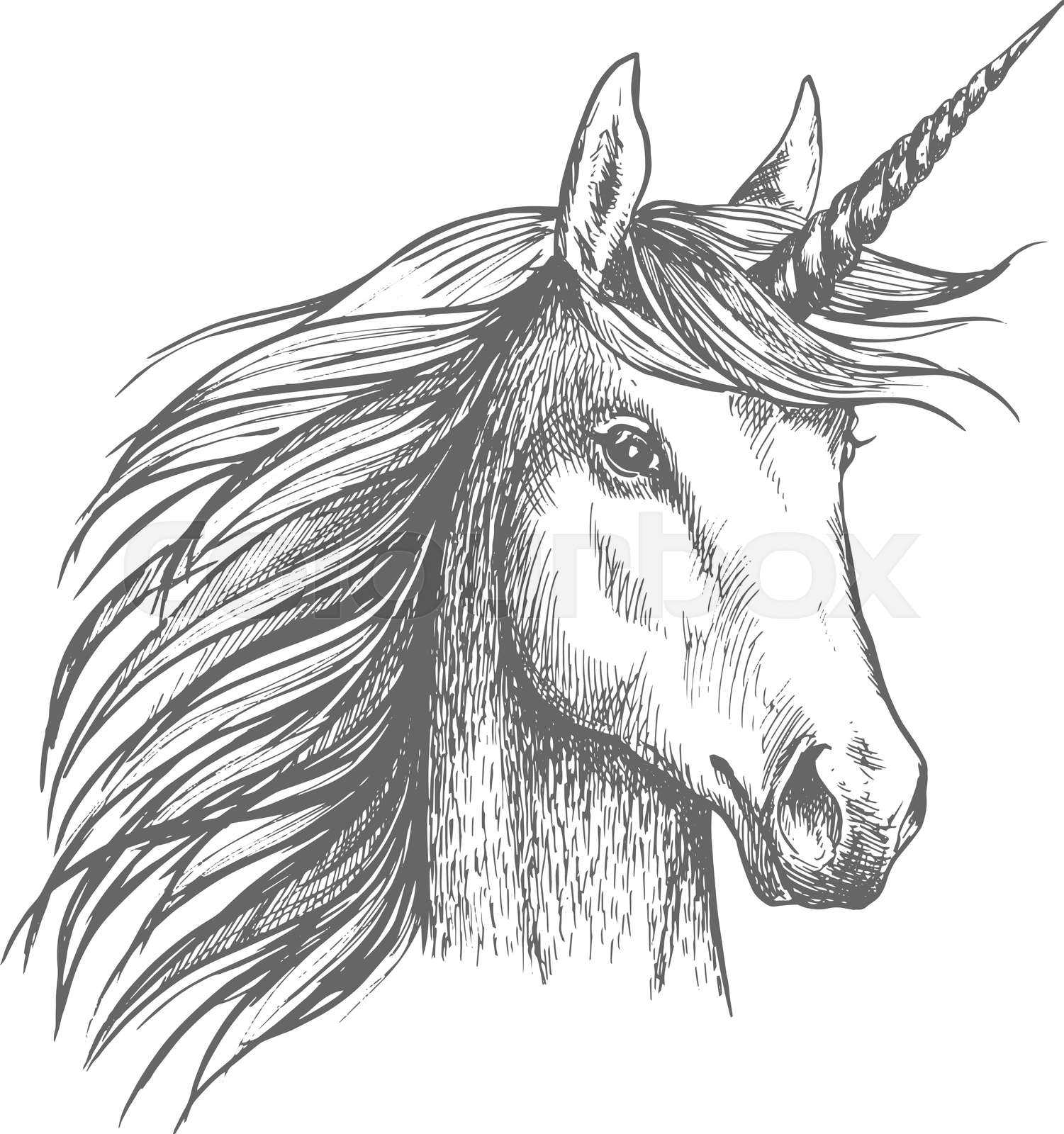 Unicorn horse sketch with horn | Stock vector | Colourbox