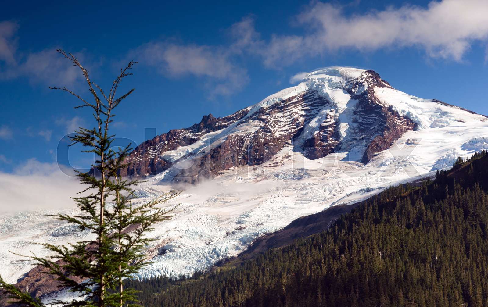 Mount Baker Koma Kulshan Cascade Volcanic Arc Mountain Landscape | Stock image | Colourbox
