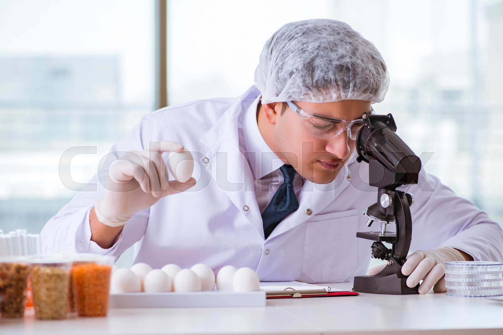 Nutrition expert testing food products in lab | Stock image | Colourbox