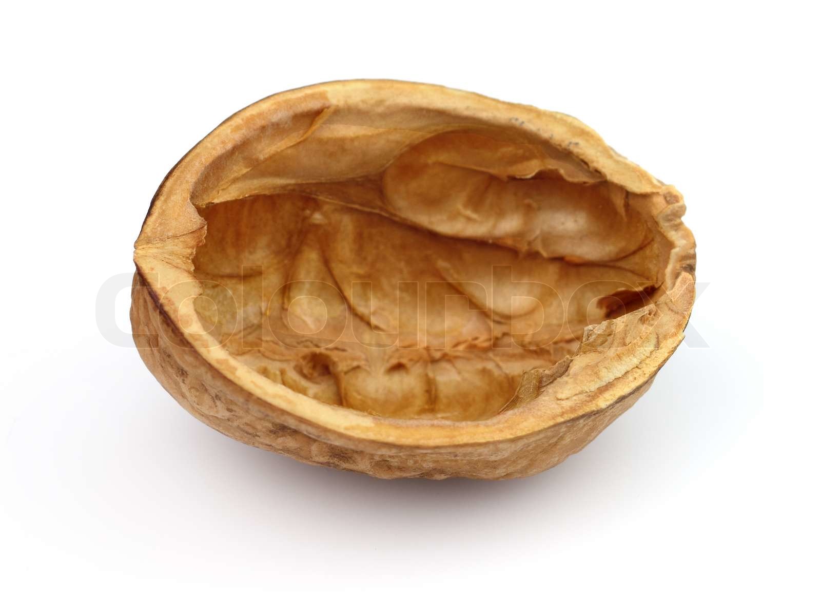 Shell of walnut in closeup | Stock image | Colourbox