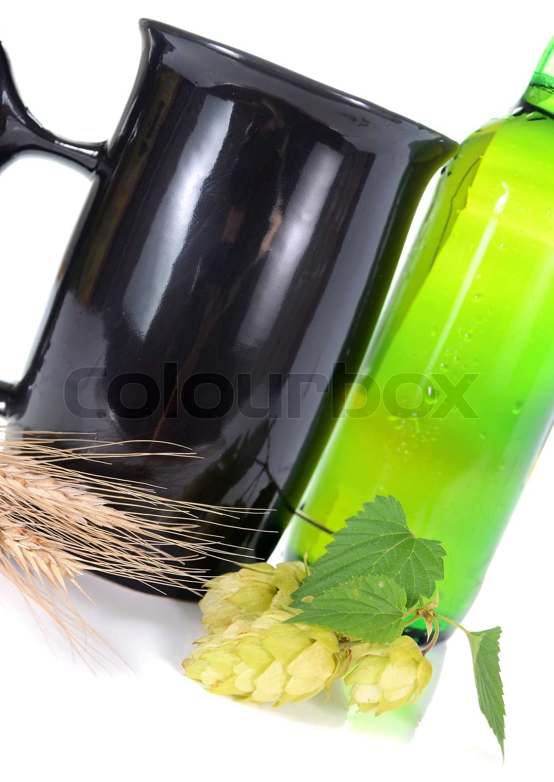 Bier und Hopfen isoliert auf weißem Hintergrund | Stock Bild | Colourbox