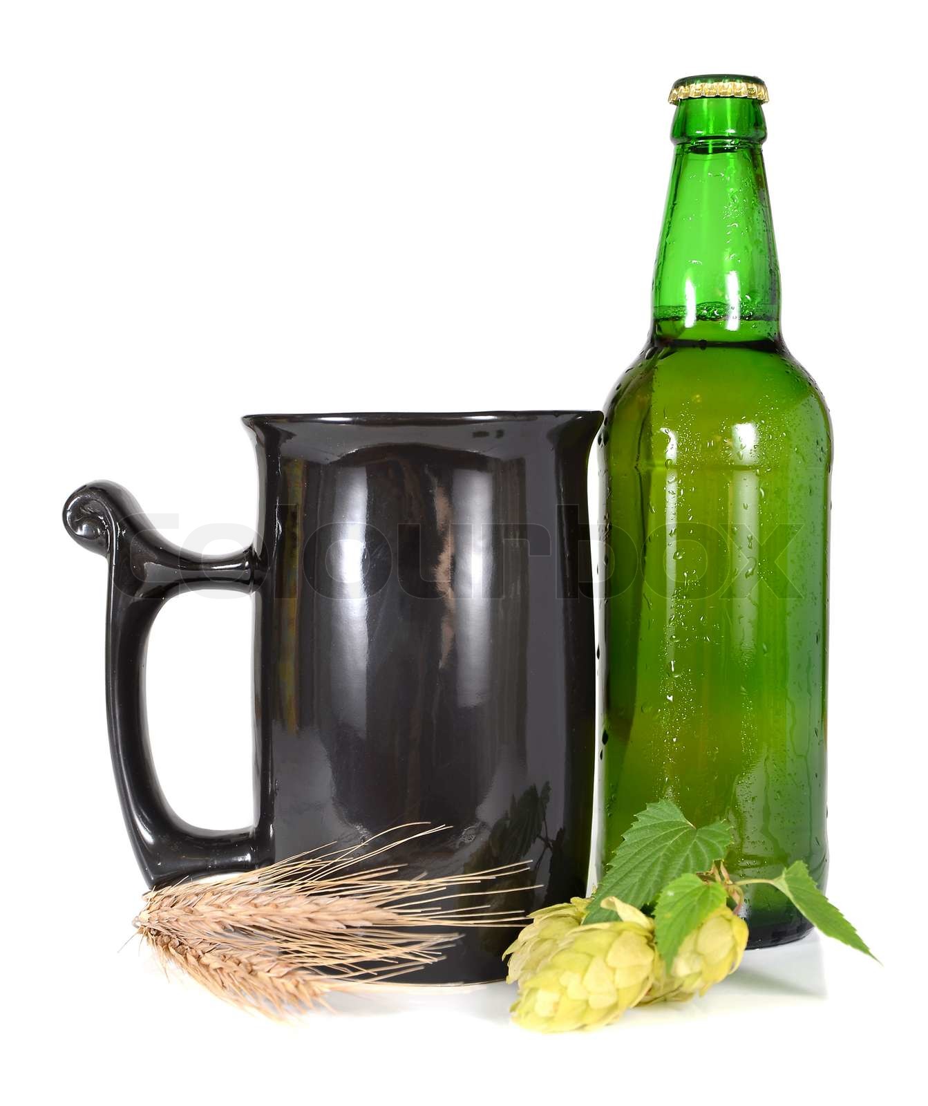 Bier und Hopfen isoliert auf weißem Hintergrund | Stock Bild | Colourbox