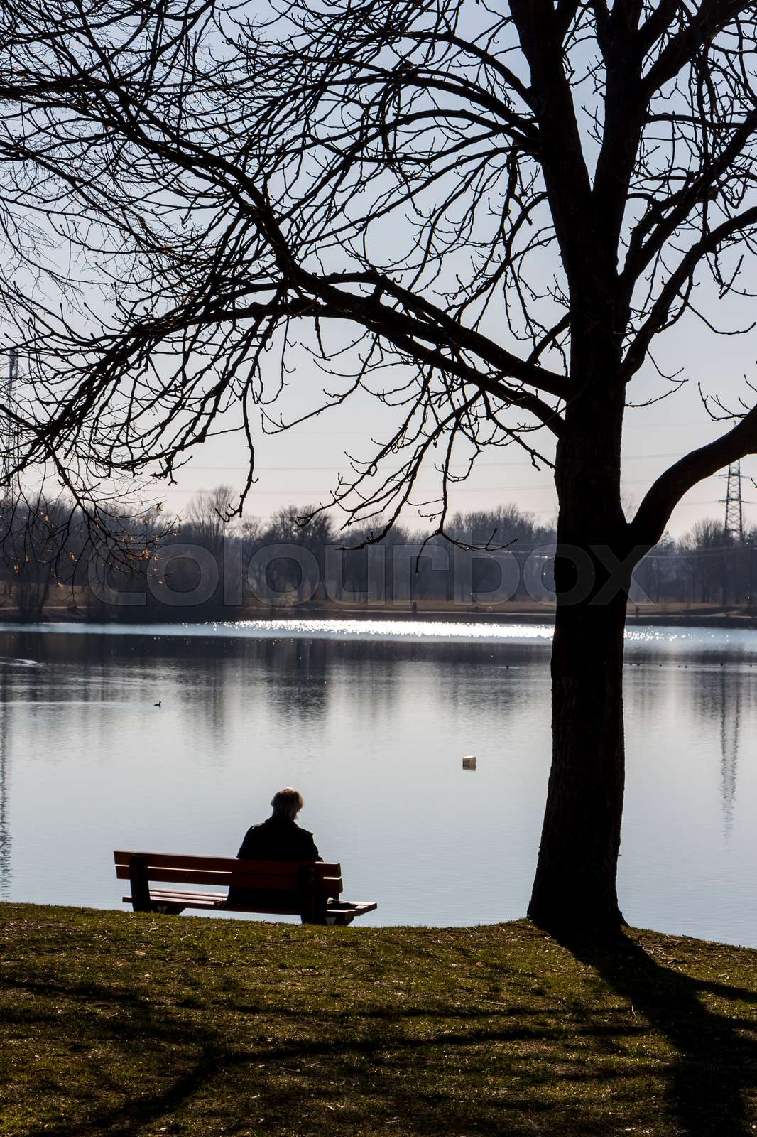 lone man at a lake | Stock image | Colourbox