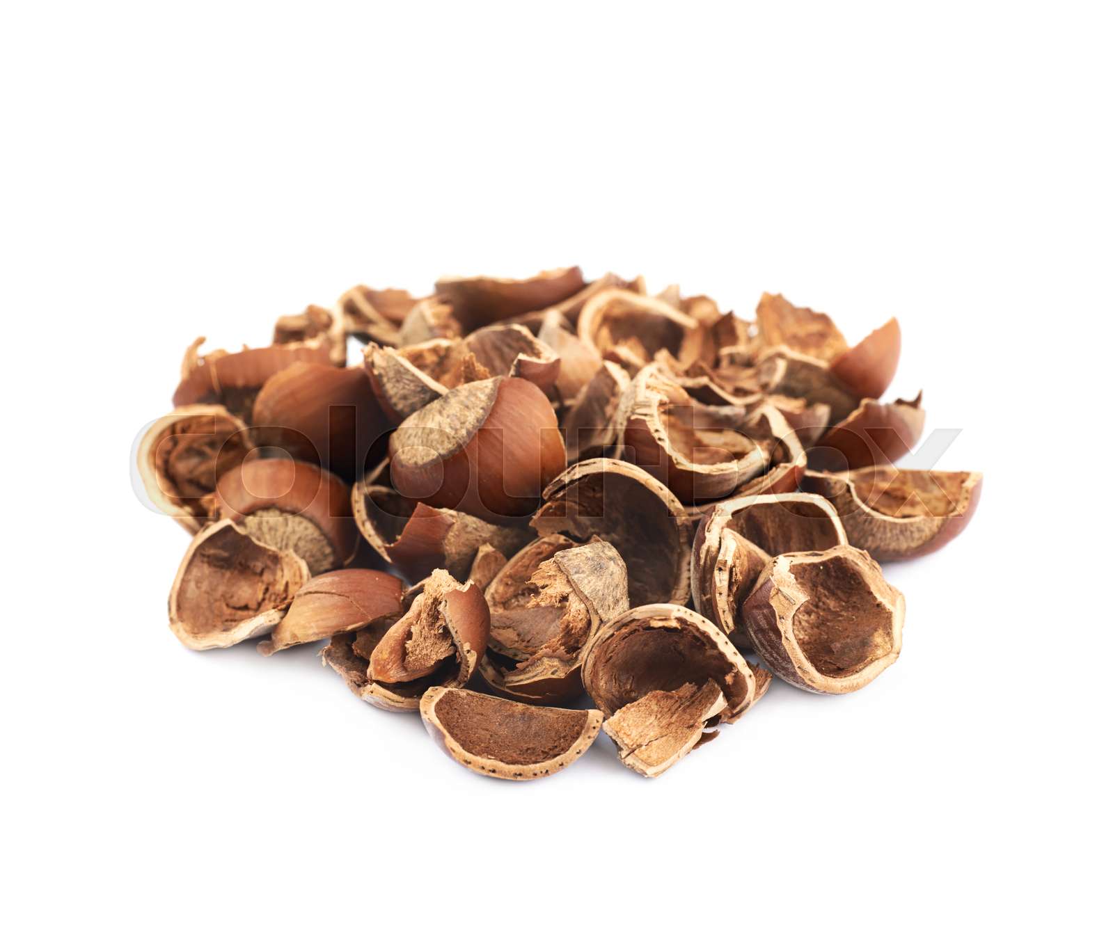 Pile of hazelnut shells isolated | Stock image | Colourbox