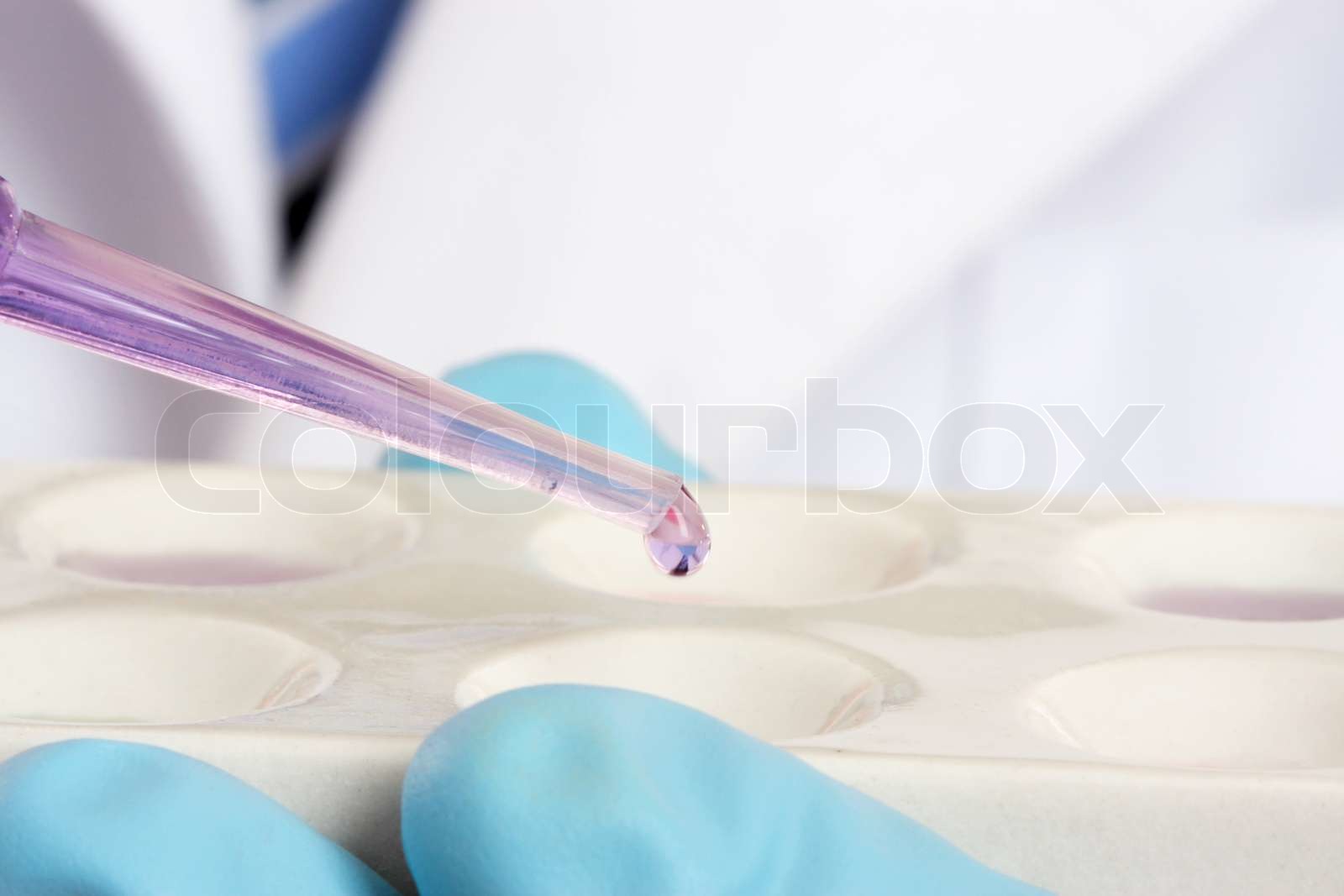 A scientist or laboratory worker using a pipette and ceramic spotting ...