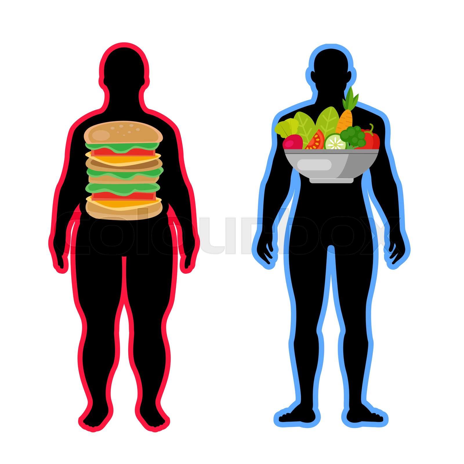 Fat and slim body - healthy lifestyle concept | Stock vector | Colourbox