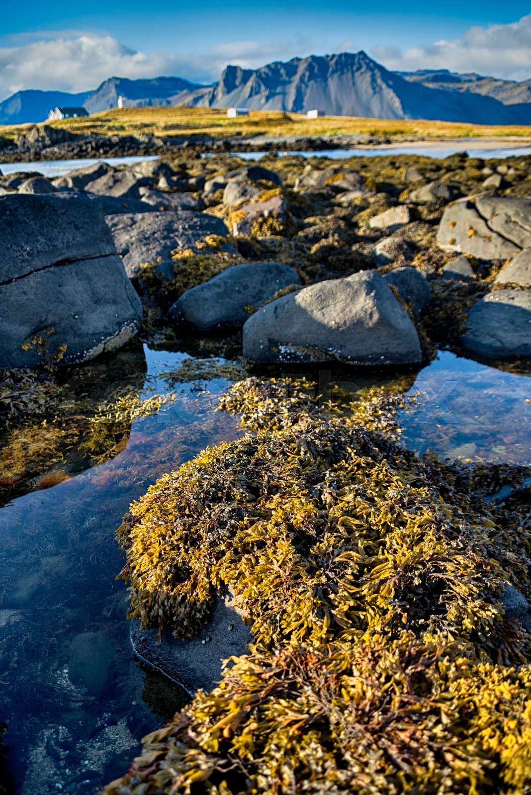 Ytri Tunga in Iceland | Stock image | Colourbox