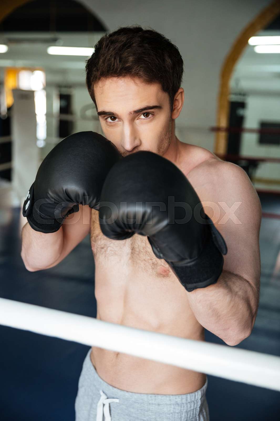 Portrait of man boxer holding | Stock image | Colourbox
