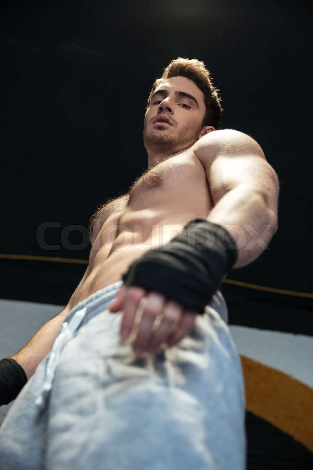 Low view of boxer looking camera | Stock image | Colourbox