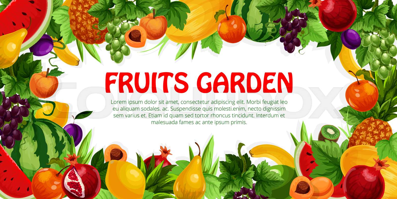 Fruit and berry frame with leaf poster design | Stock vector | Colourbox