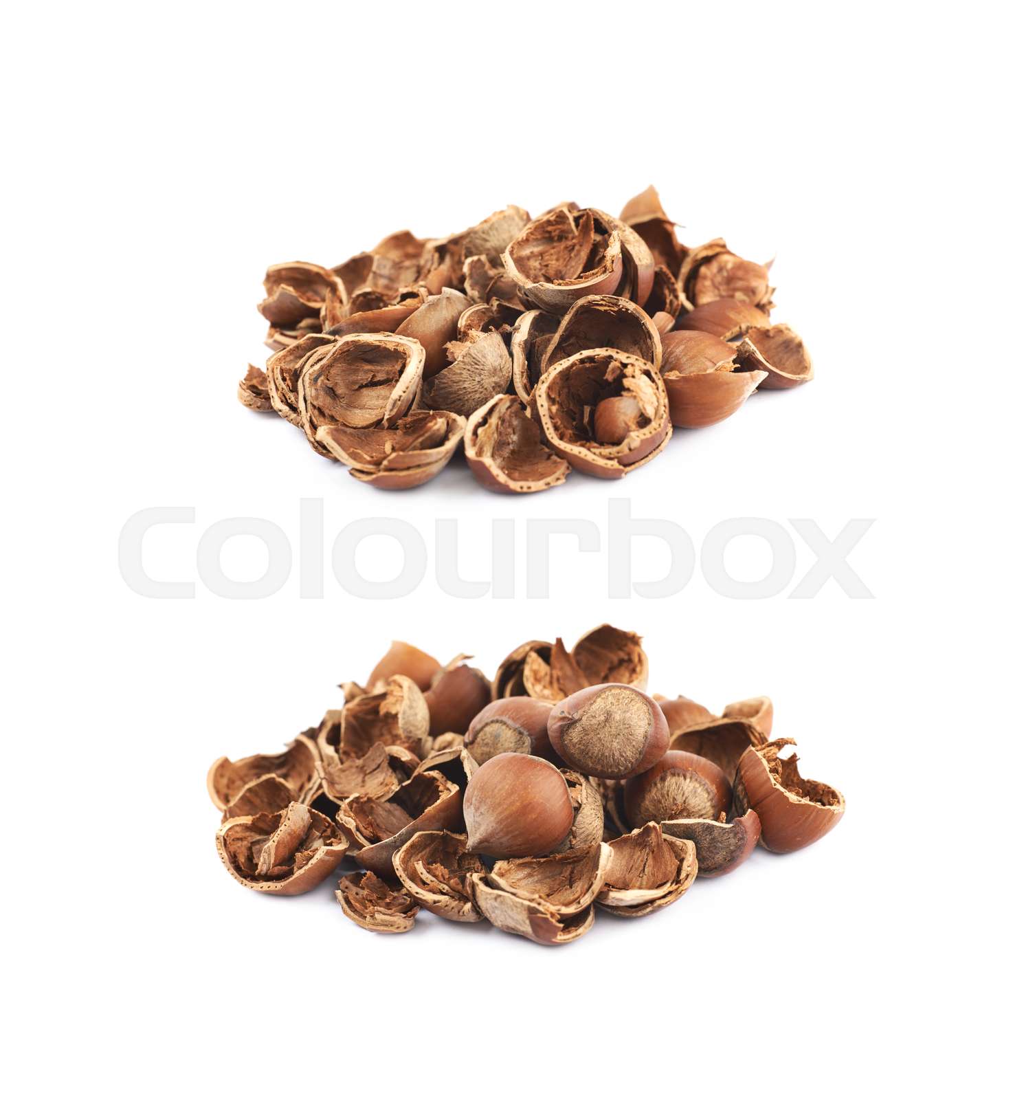 Pile of hazelnut shells isolated | Stock image | Colourbox