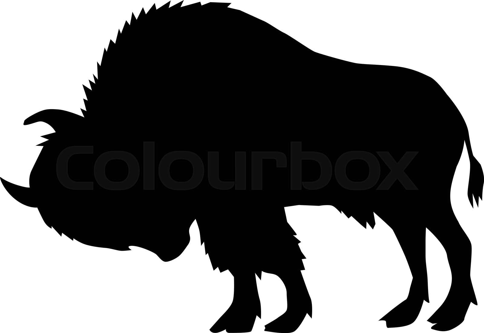buffalo, side view | Stock vector | Colourbox