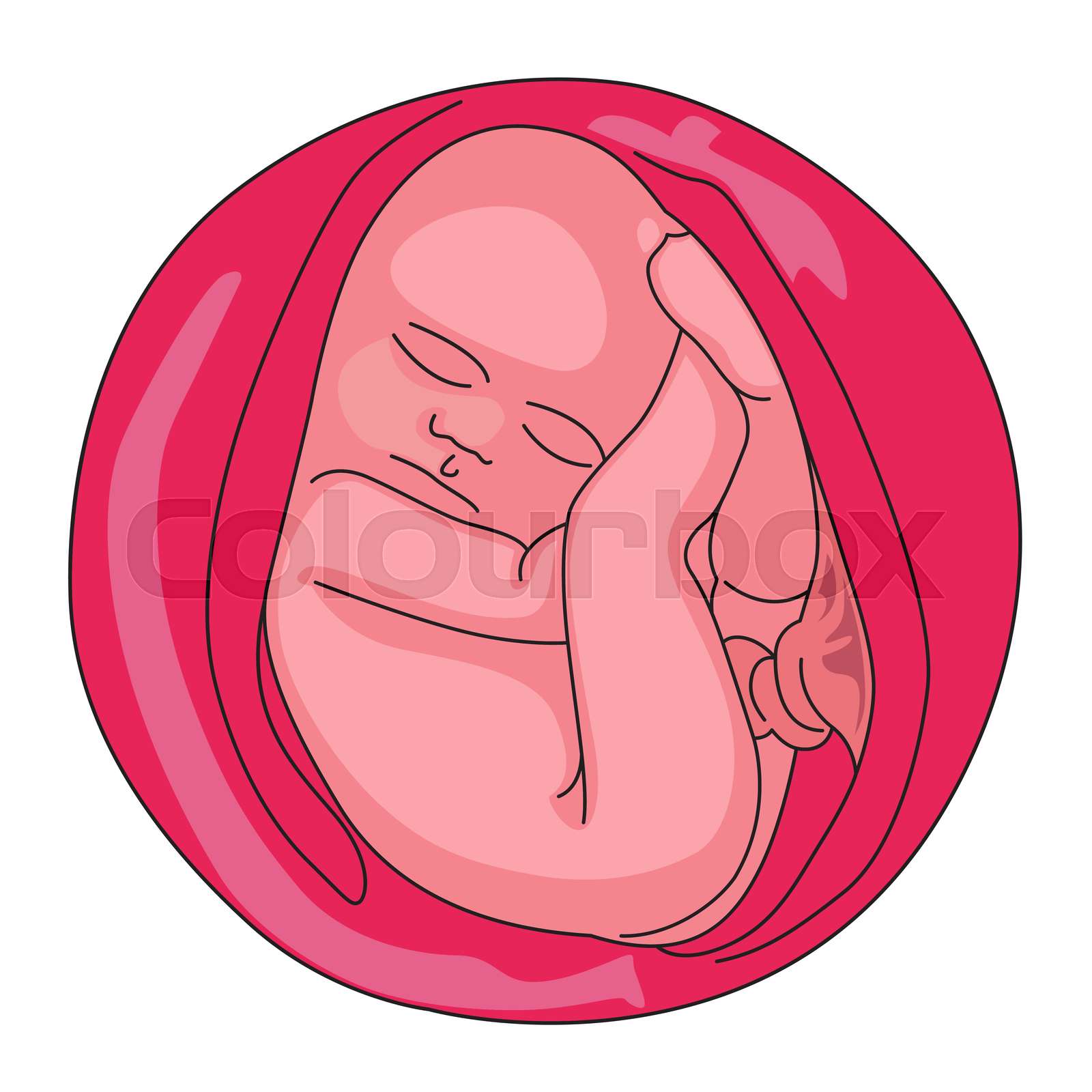 Happy Baby In Womb Cartoon
