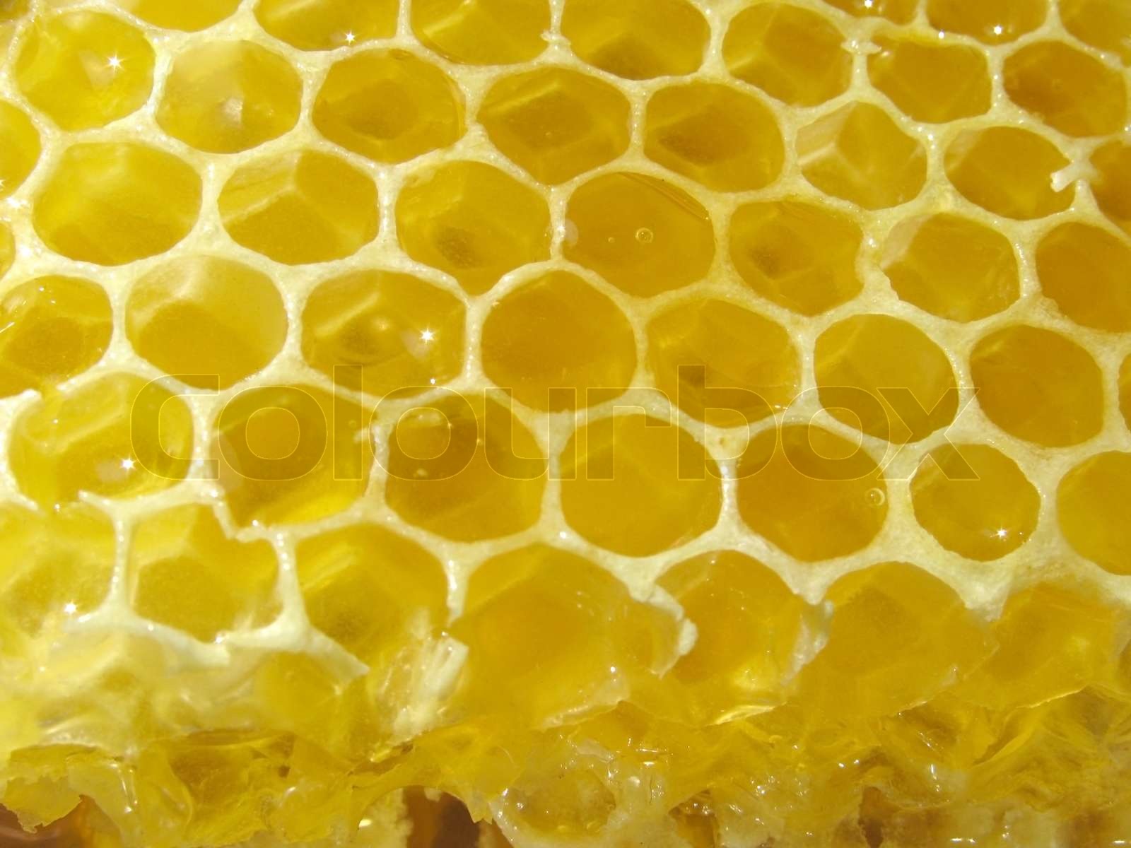 Waben | Stock Bild | Colourbox