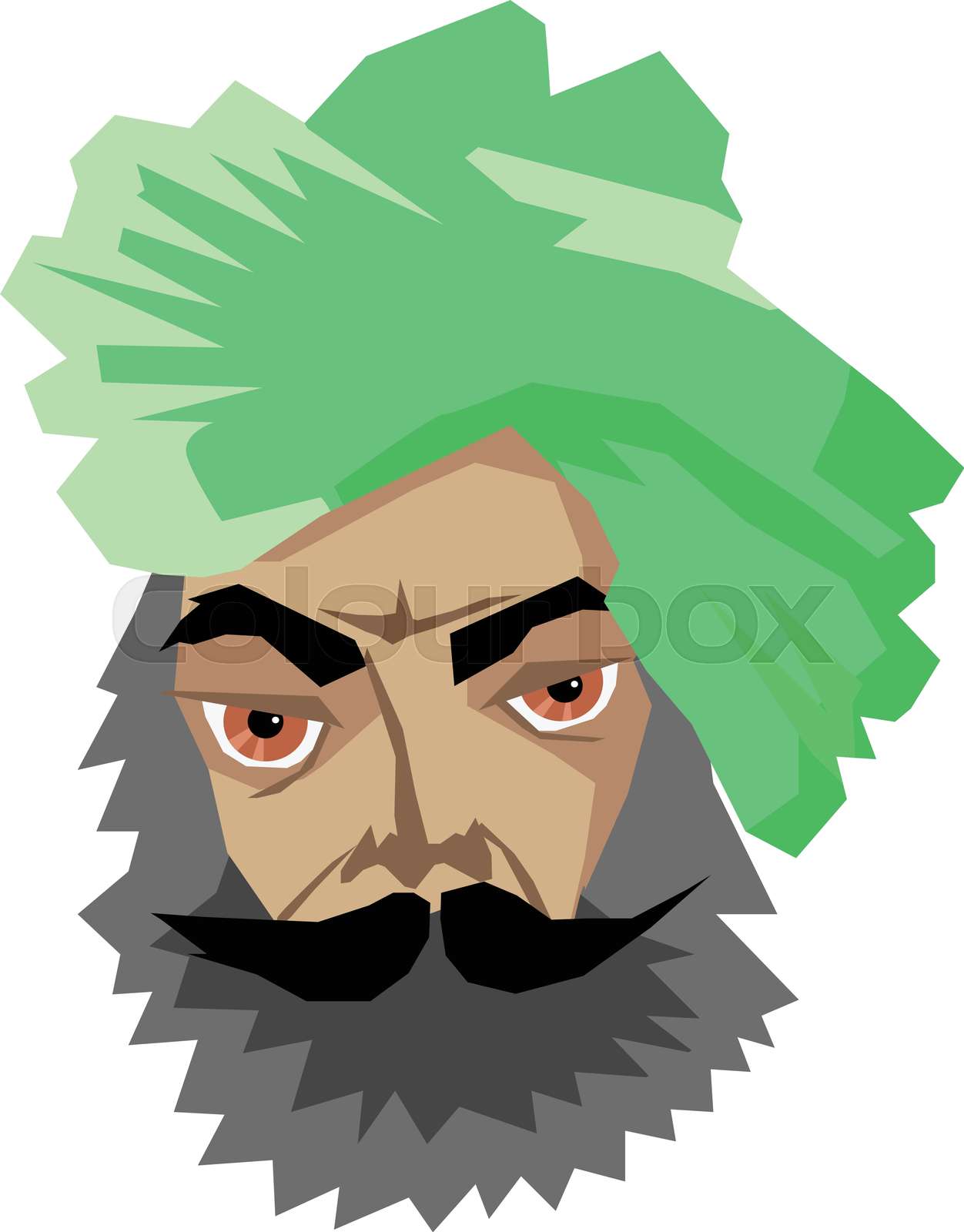 indian man in turban | Stock vector | Colourbox