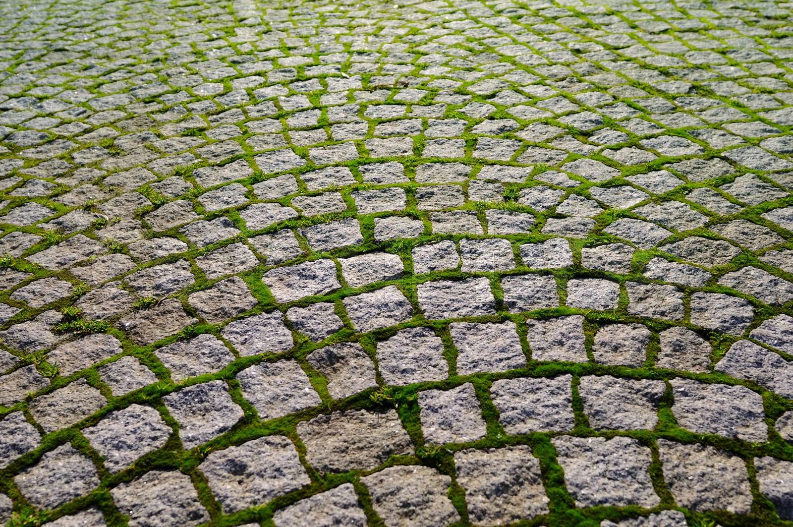 This photograph represent a cobblestone with grass bricks showing ...