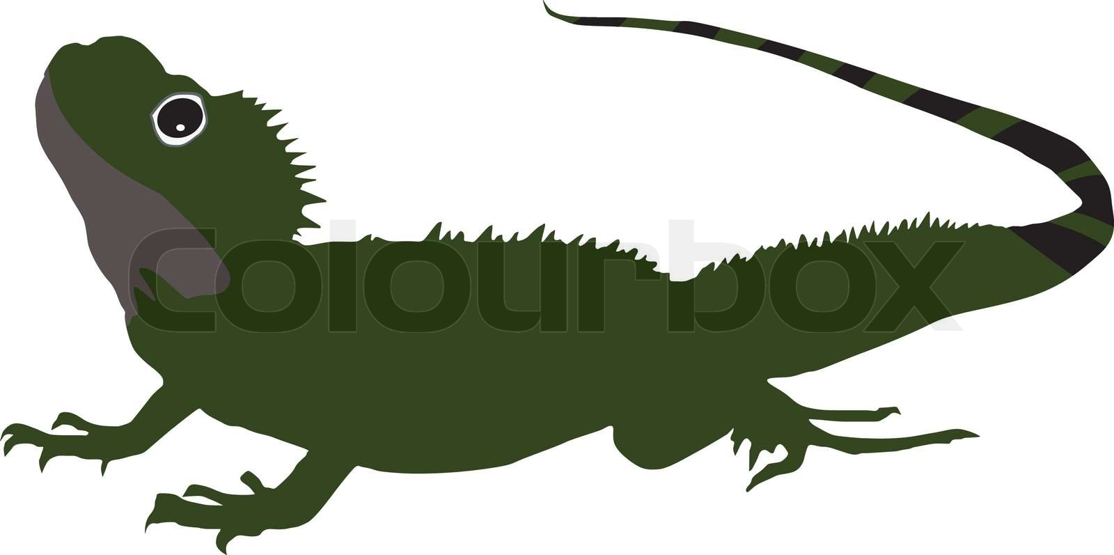 | Stock-Vektor | Colourbox