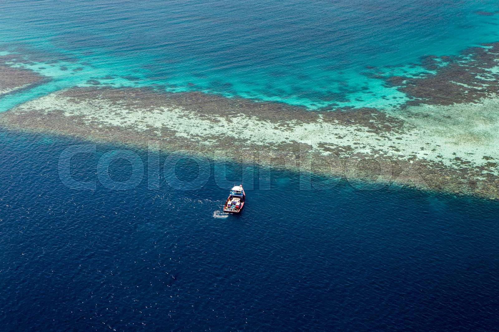 Coral Reef and detail of Atoll | Stock image | Colourbox