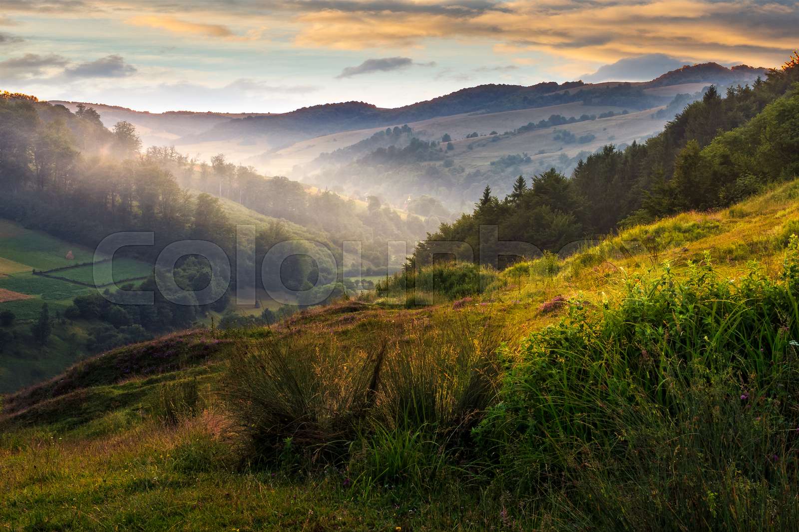 Foggy Hillside In Rural Area Stock Image Colourbox foggy-hillside-in-rural-area-stock-image-colourbox