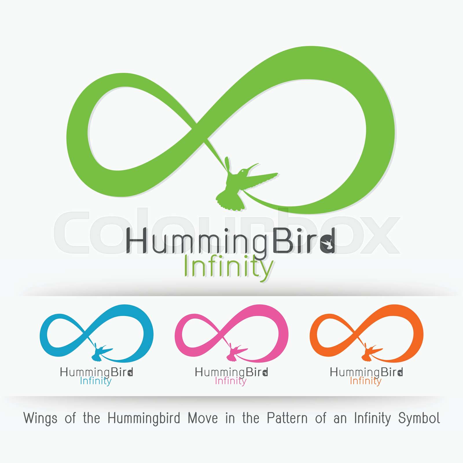 wings of the hummingbird move in the pattern of an infinity symbol ...