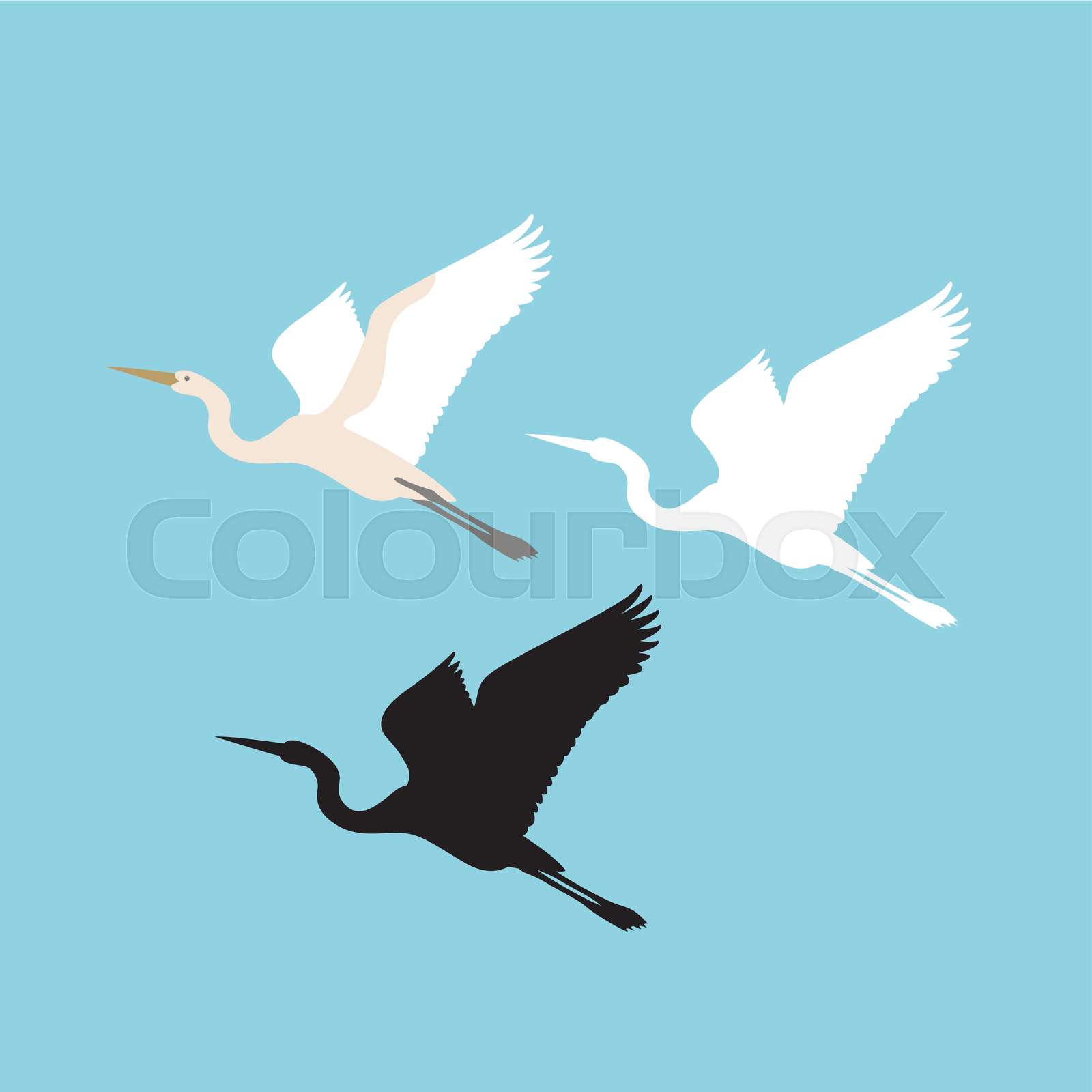 Crane bird | Stock vector | Colourbox