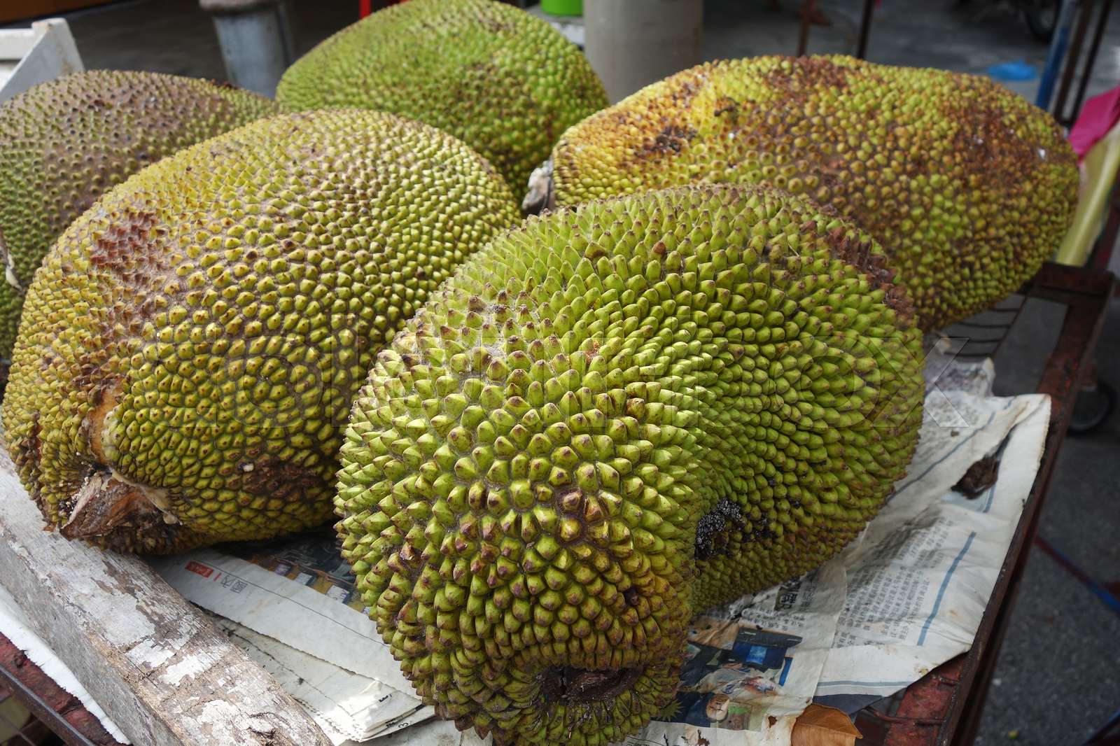 Jackfruit, also known as jack tree | Stock image | Colourbox