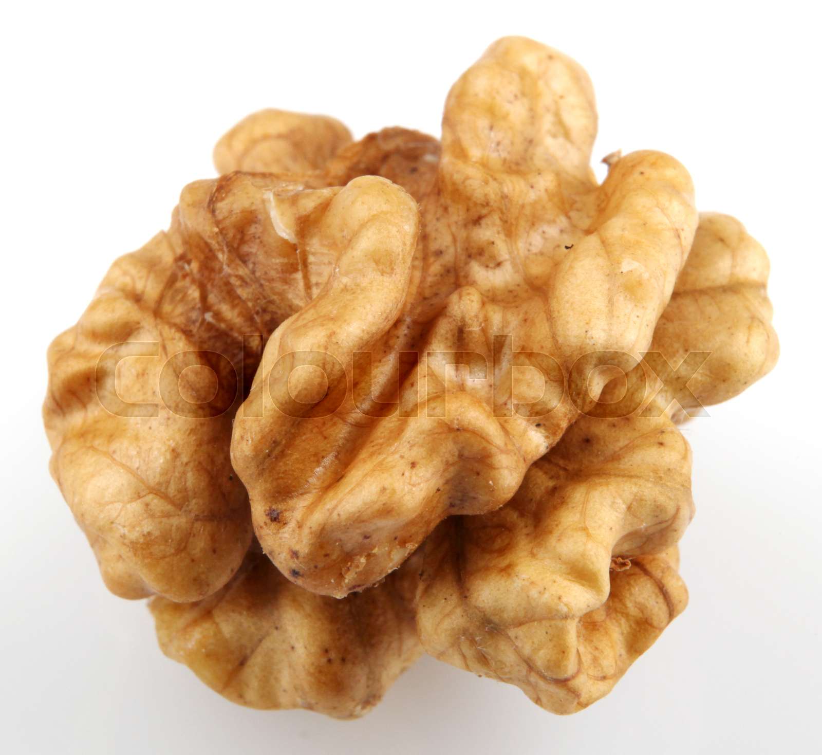Walnuts Isolated | Stock image | Colourbox