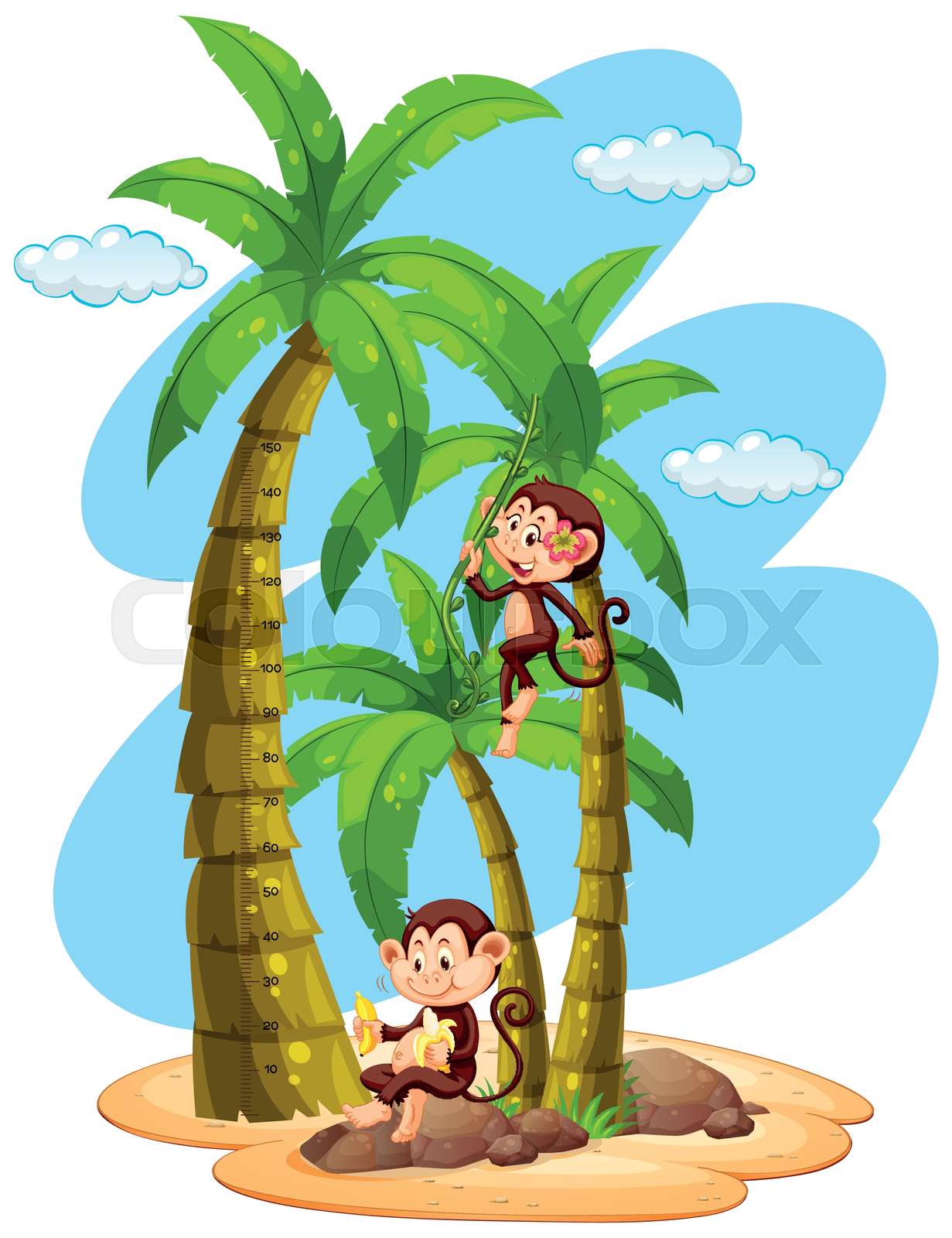 Growth chart ruler with two monkeys on tree | Stock vector | Colourbox