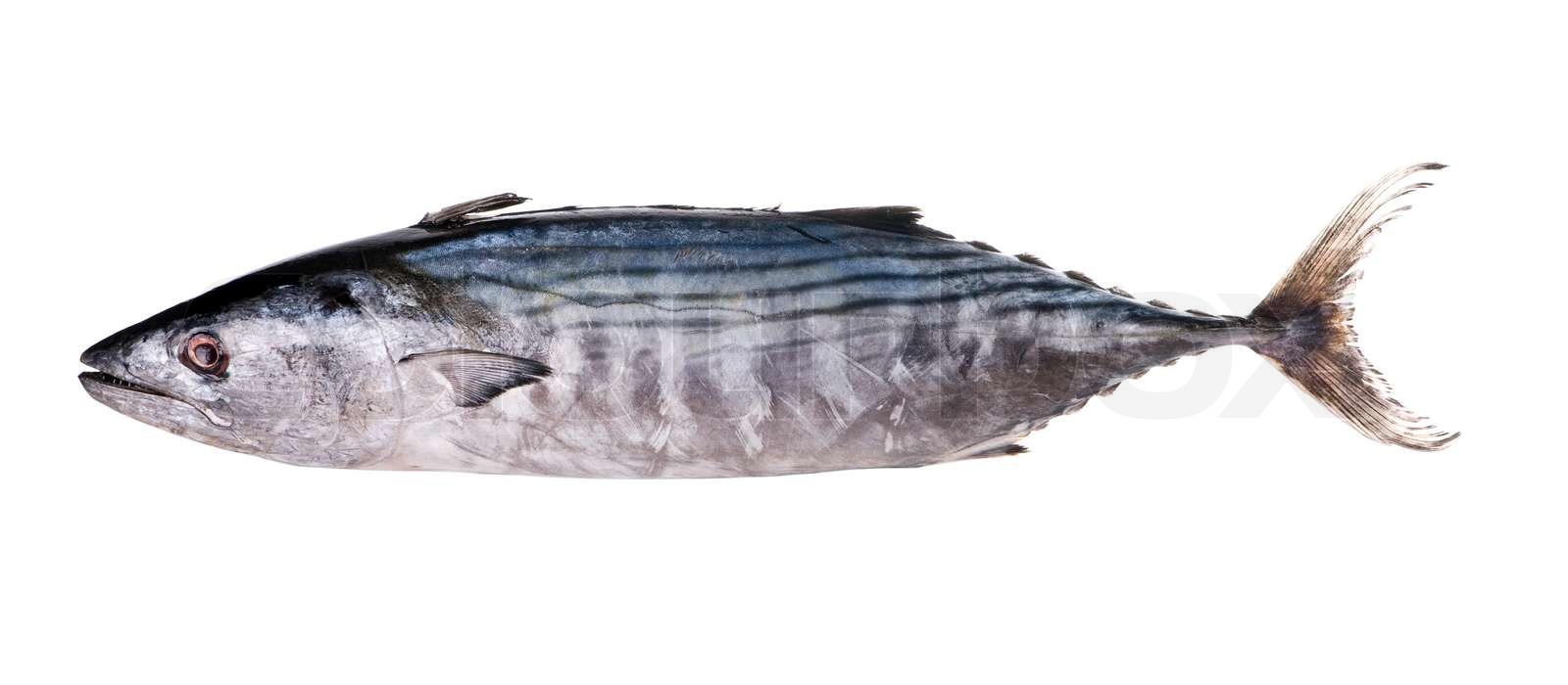 fisch, flosse, schweif | Stock Bild | Colourbox