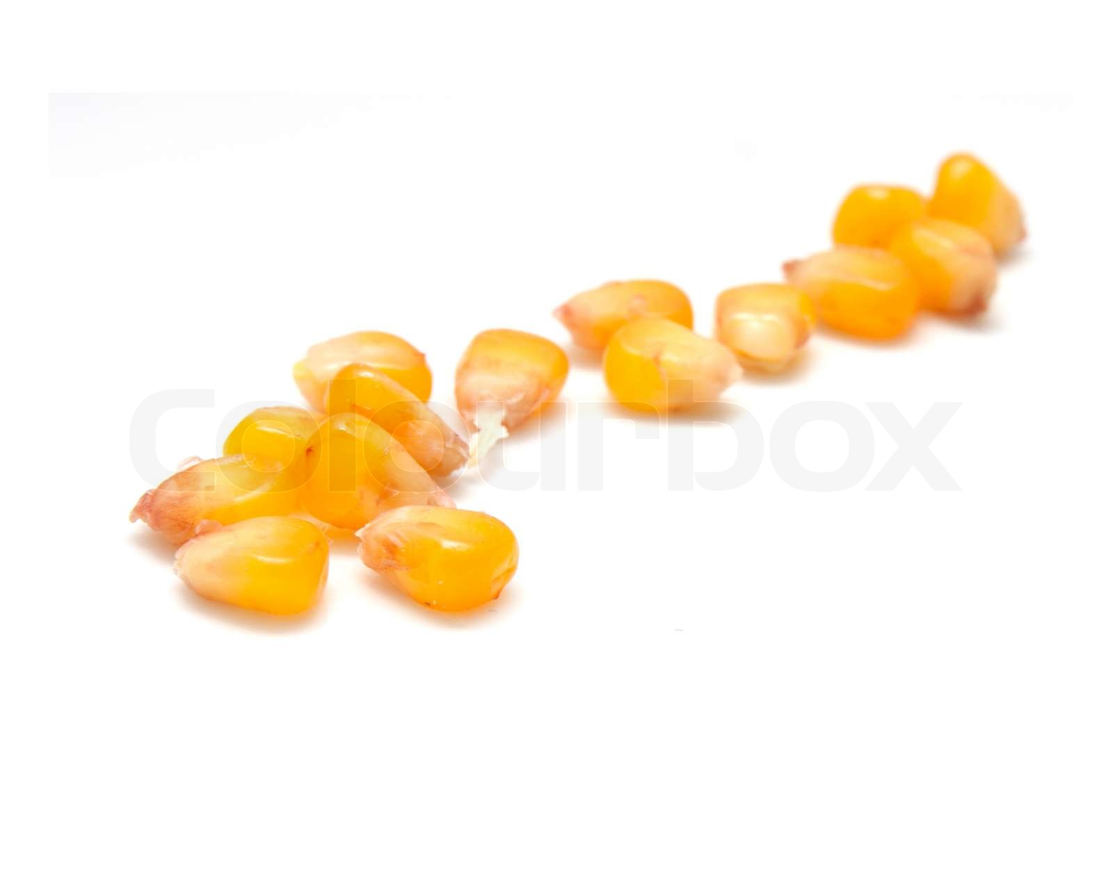 gul majs korn på hvid baggrund | Stock foto | Colourbox