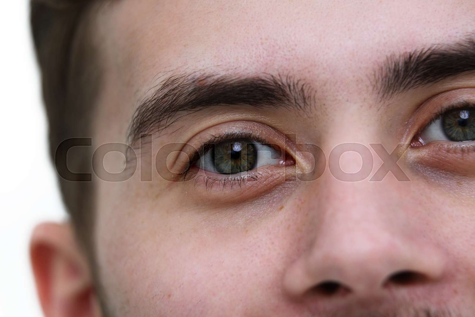 Crop of young man's face looking at camera | Stock image | Colourbox