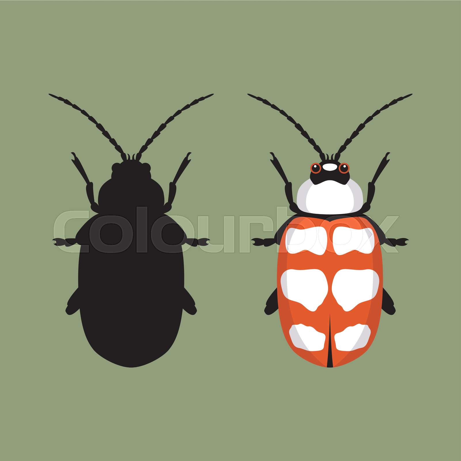beetle vector | Stock vector | Colourbox