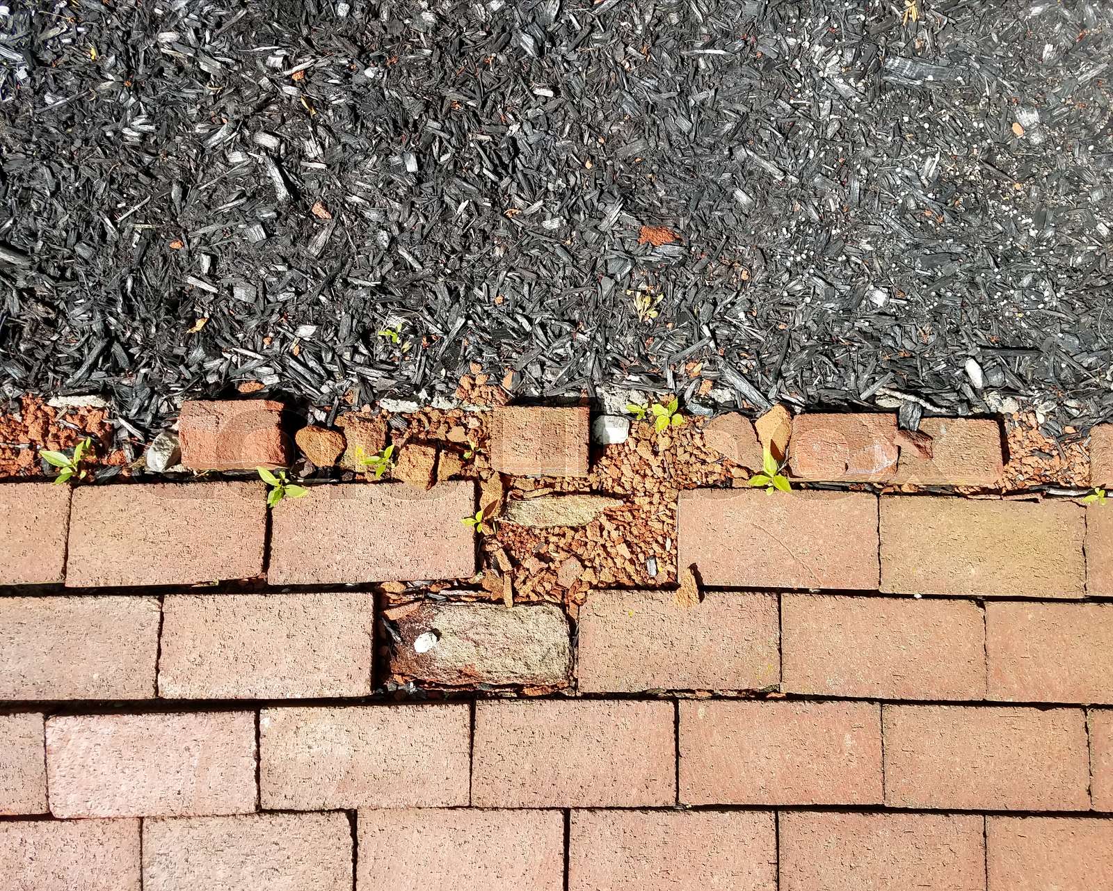 broken walkway | Stock image | Colourbox